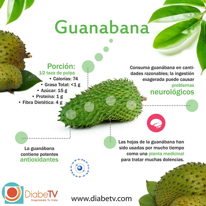 Hojas De Guanabana Propiedades Y Beneficios at Margaret Ratliff blog