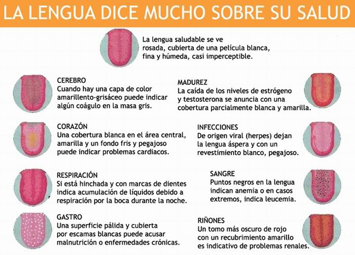 La lengua revela el estado de la salud humana