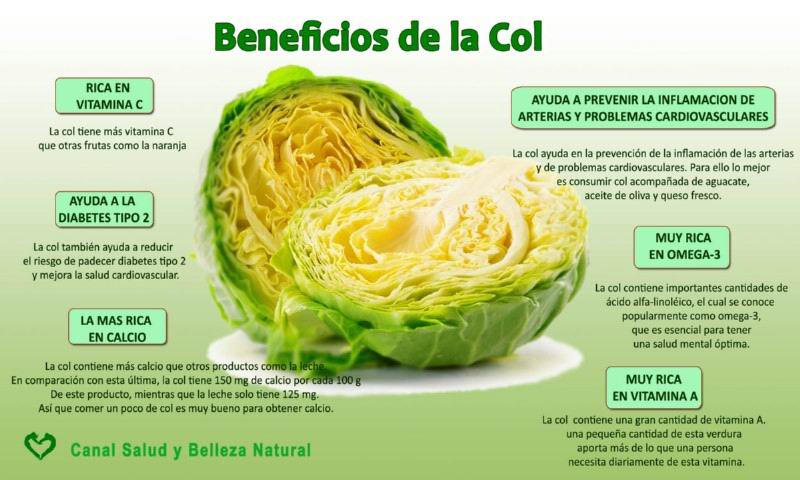 Col para alimentarnos y estar saludables