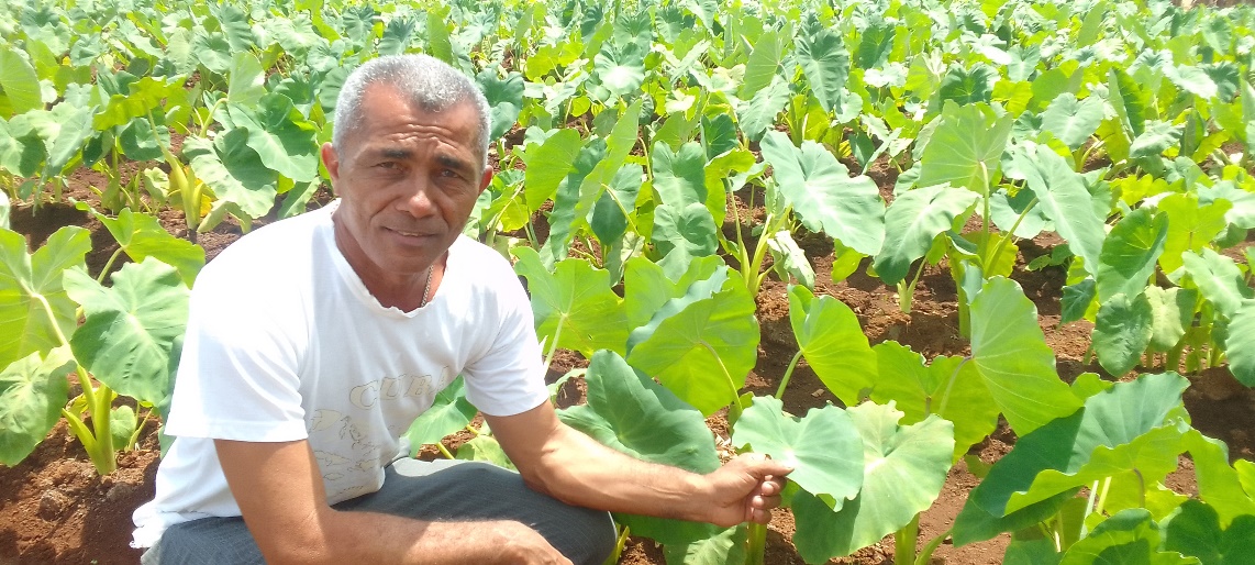 Representación del municipio cienfueguero de Aguada en el XIII Congreso ...
